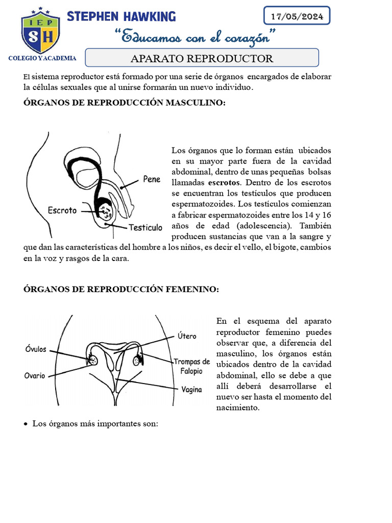 APARATO REPRODUCTOR | PDF | Sistema reproductivo | Anatomia sexual