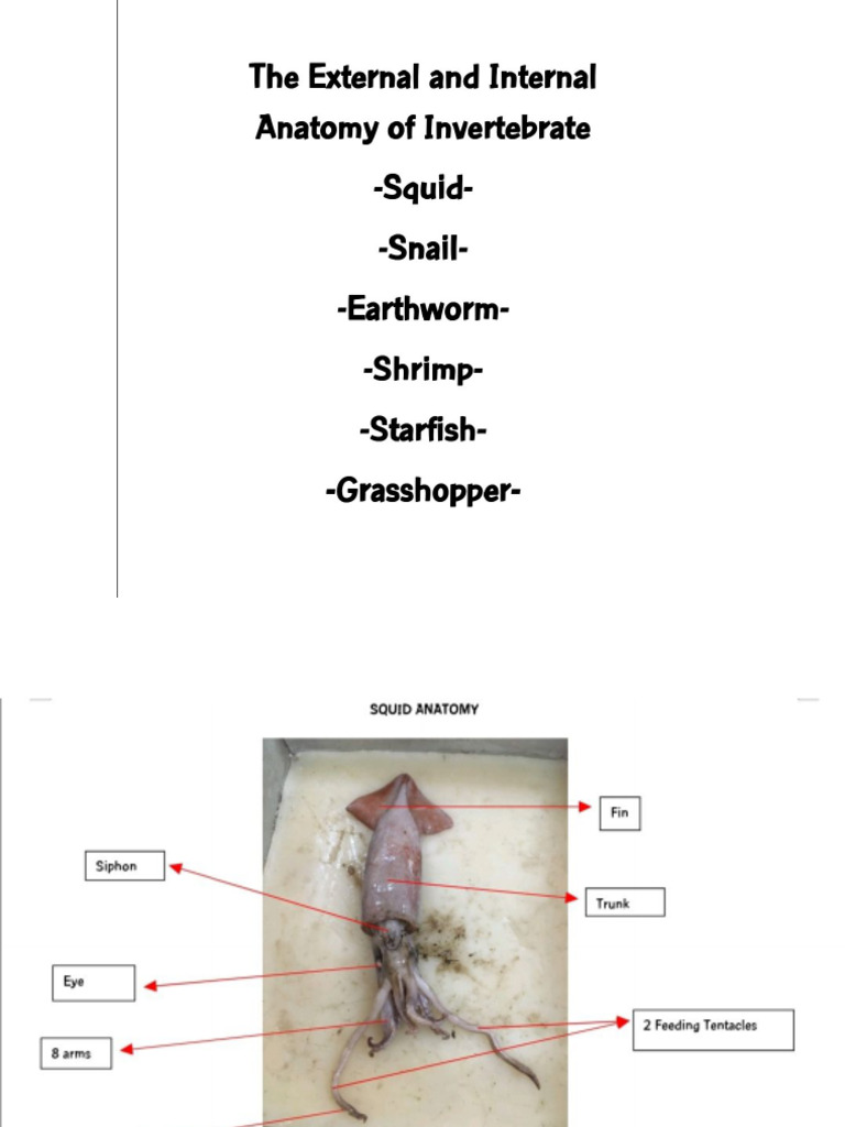 Lab Exercise 7-8 (CDL4 - Group2) | PDF