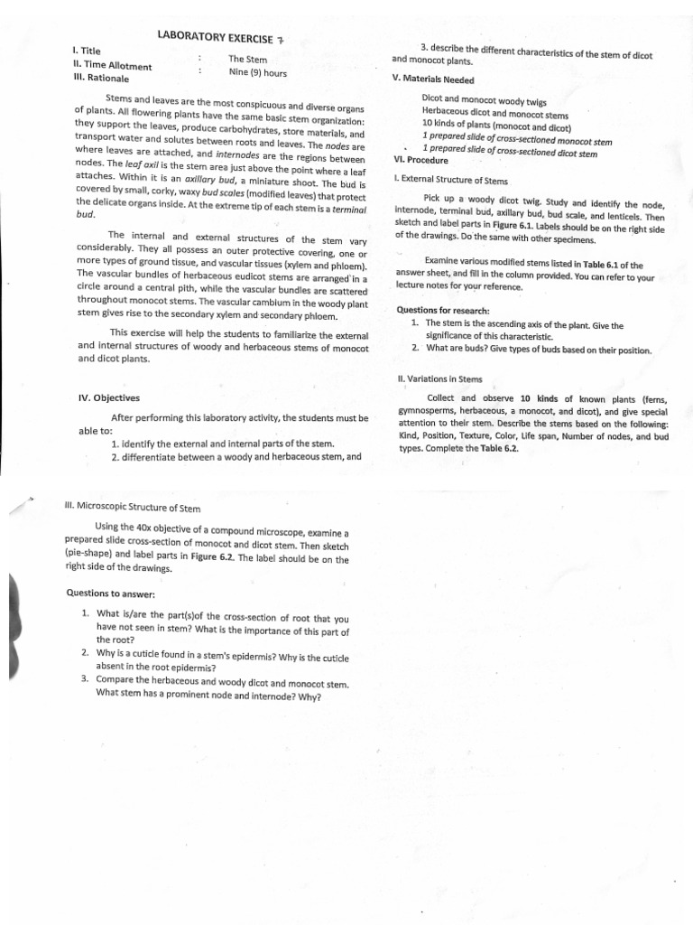 Botany Lab Exercise 7 | PDF Botany Lab Exercise 7 | PDF