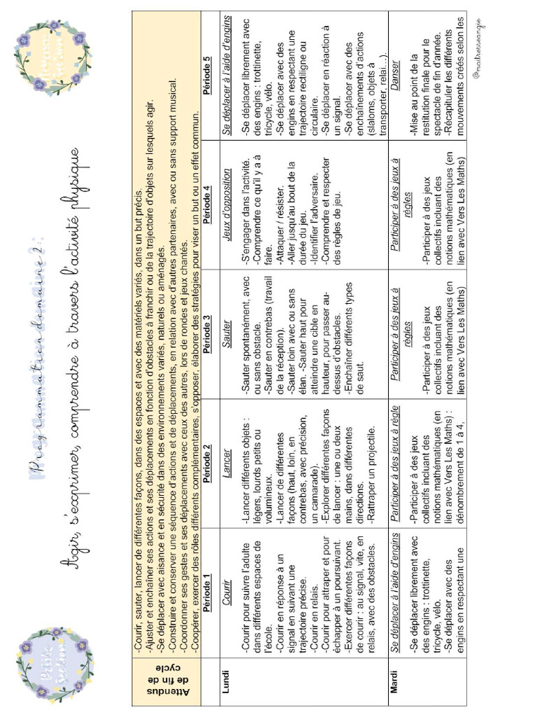 Agir S'exprimer Comprendre À Travers L'activité Physique | PDF