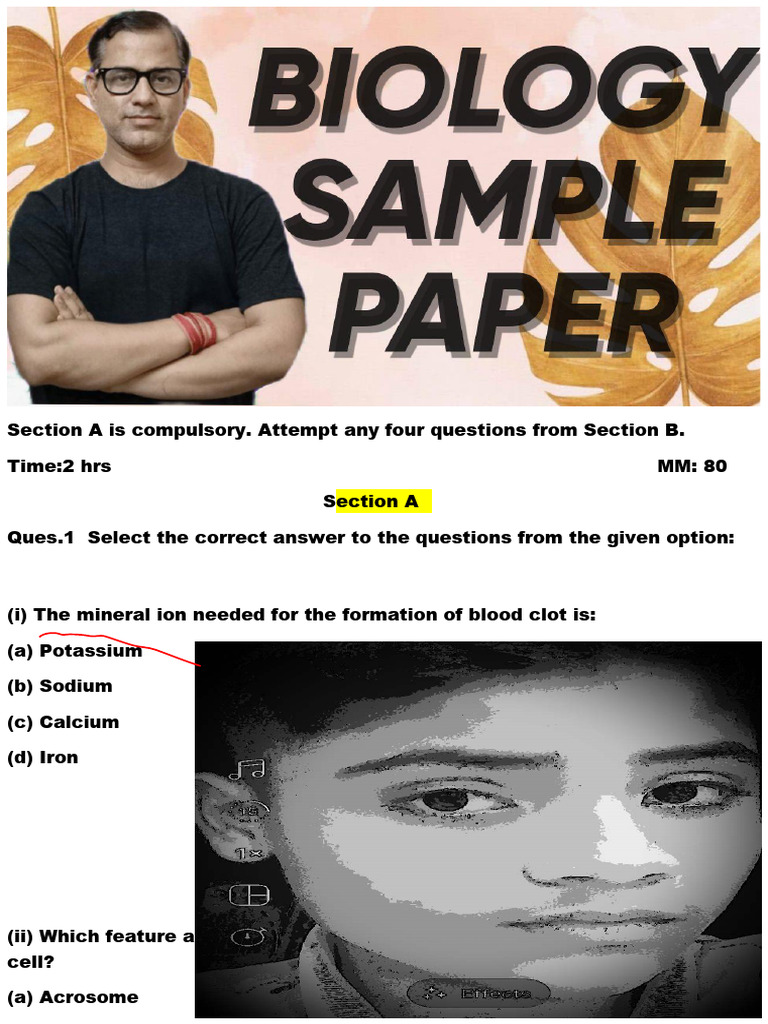 Biology Sample Paper | PDF | Kidney | Mitosis