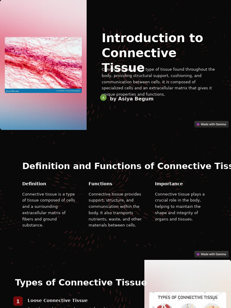 Introduction To Connective Tissue | PDF | Connective Tissue | Cell Biology