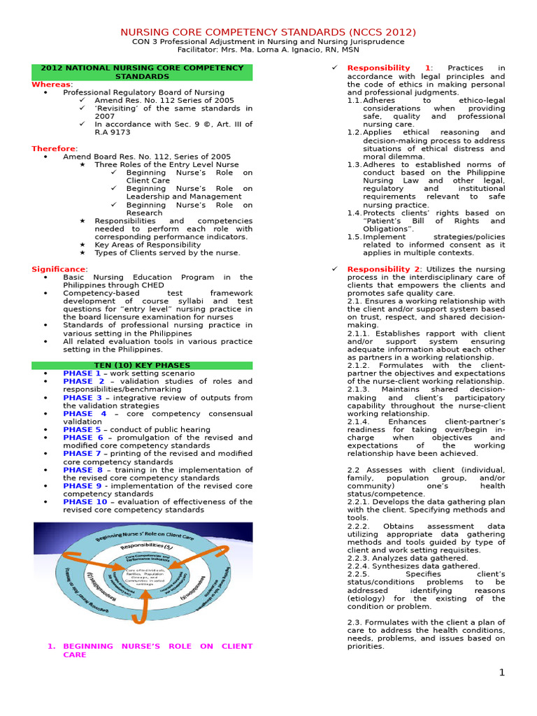 NCCS 2012 | PDF | Nursing | Health Care