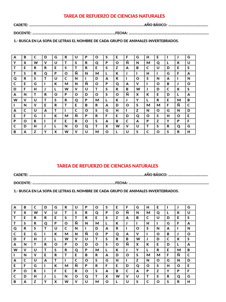 Sopa de letras: animales invertebrados | PDF
