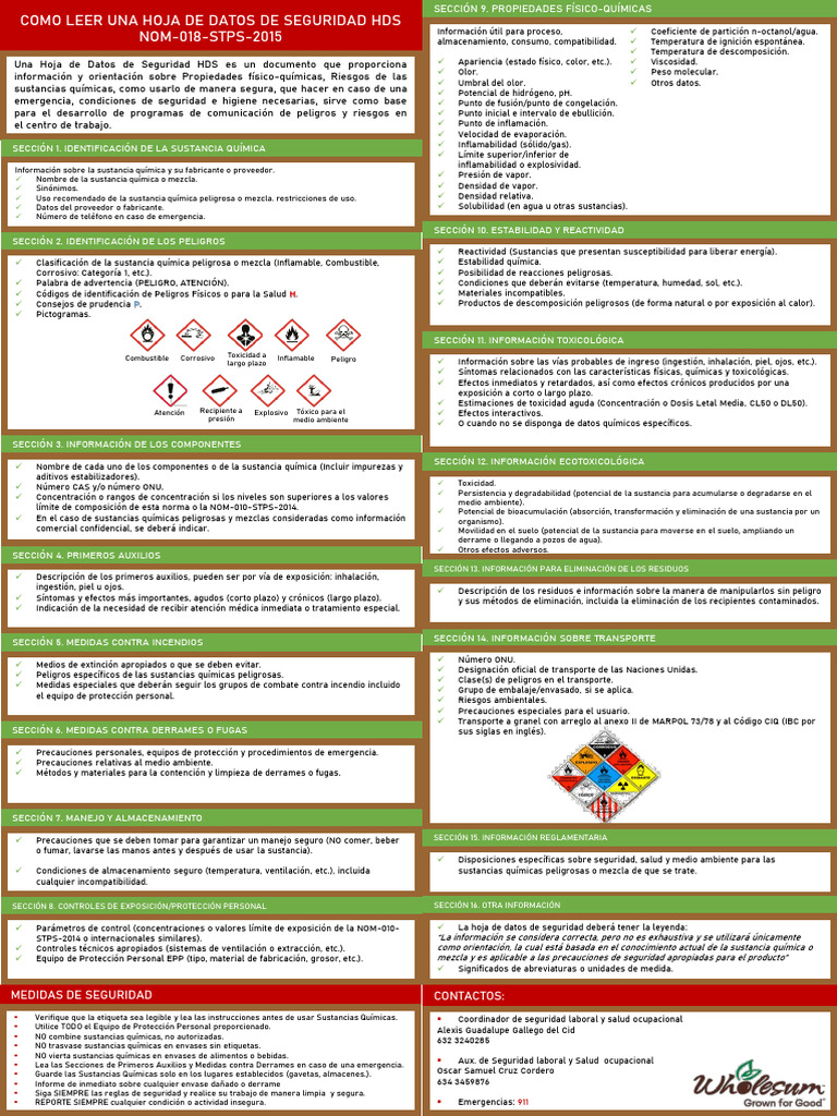 Cómo Leer Una HDS | PDF | Toxicidad | Toxicología