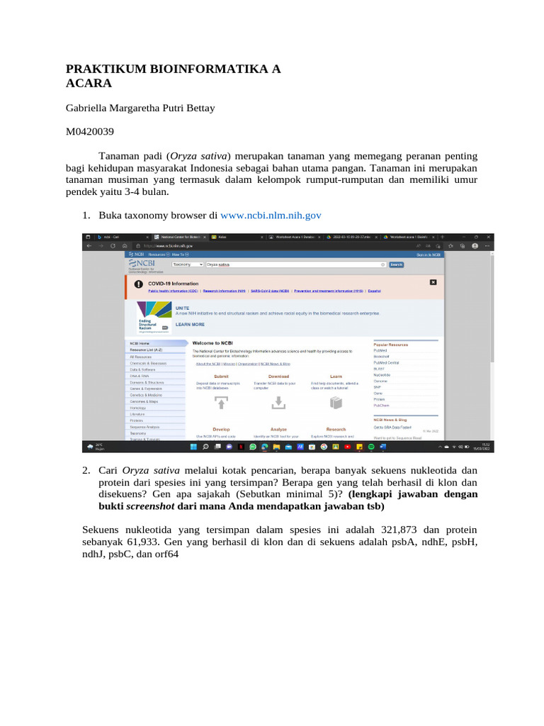 Worksheet acara 1 Bioinfo A | PDF