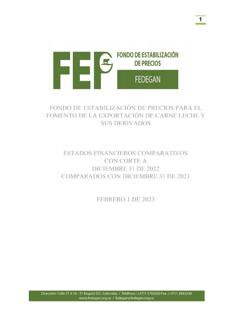 Estados Financieros 2022 | PDF | Contabilidad | Estado financiero