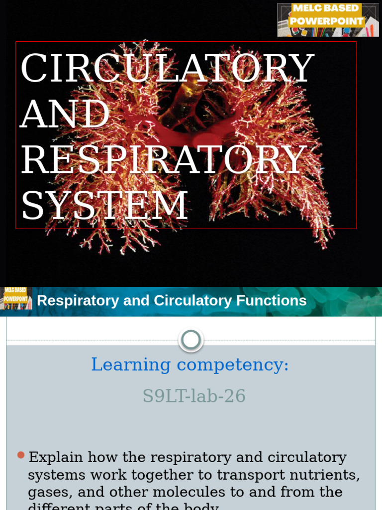 G9 Science Q1 - Week 1-2 Respiratory-Circulatory-System | PDF | Respiratory System | Blood