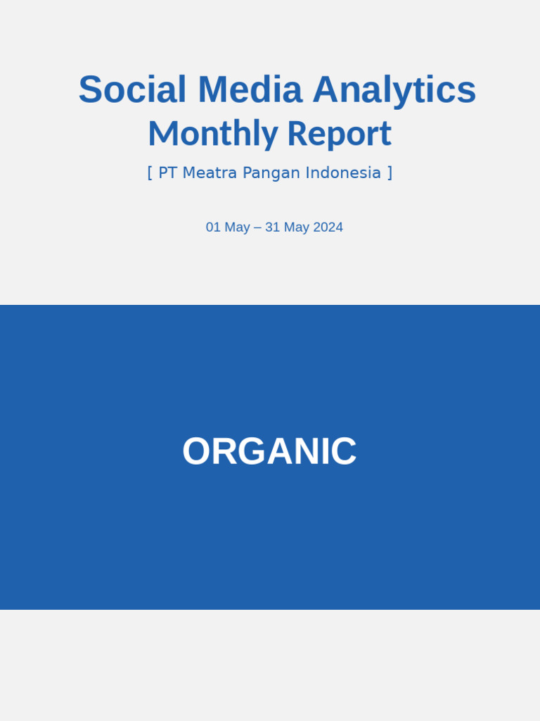 Campign Report Analytics Report | PDF