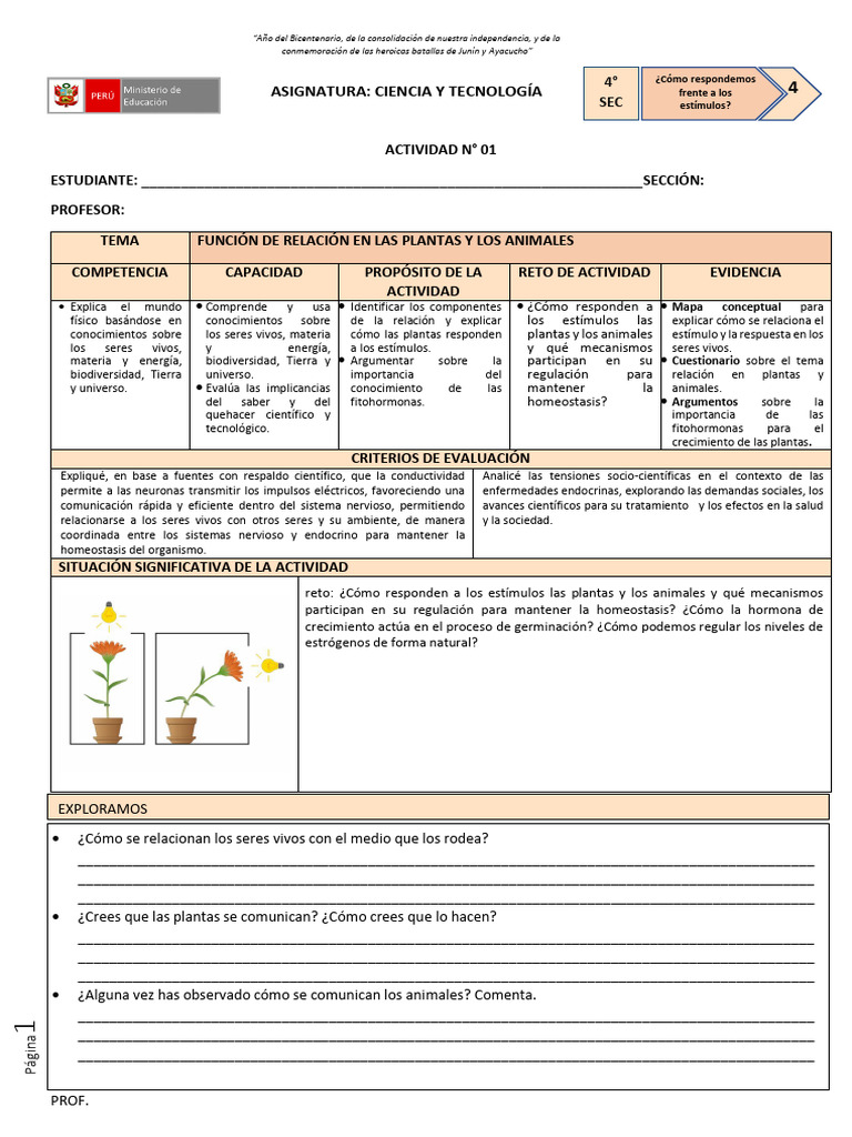 Función de Relacion en Plantas y Animales | PDF | Neurona | Sistema ...