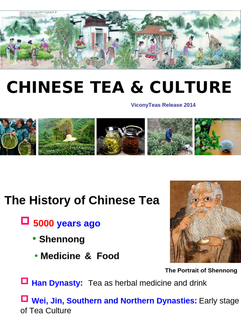 History and Varieties of Chinese Tea | PDF | Tea | Leaf
