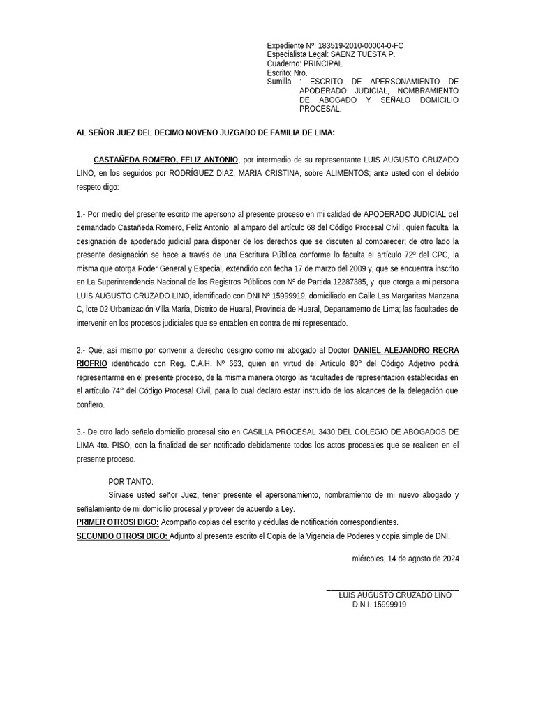 Apoderado Judicial y Abogado en Proceso de Alimentos | PDF | Documento ...