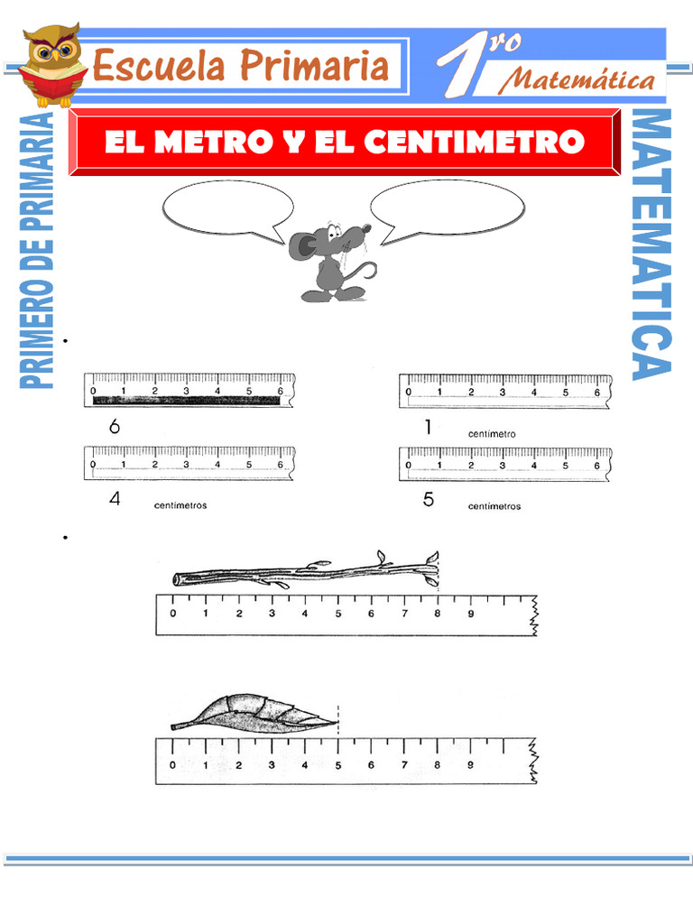 El Metro y El Centimetro para Primero de Primaria | PDF