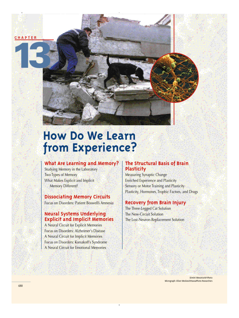 kolb_13 | PDF | Classical Conditioning | Memory