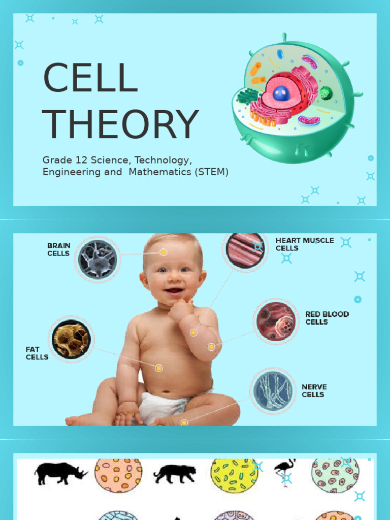 Understanding Cell Theory and Organelles | PDF | Cell (Biology ...