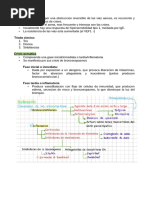 Ipp Everest DX | PDF | Asma | Medicamentos con receta