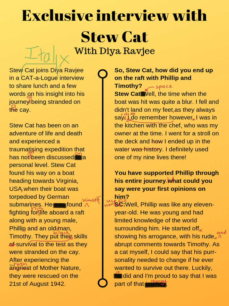 Exclusive Interview With Stew Cat | PDF