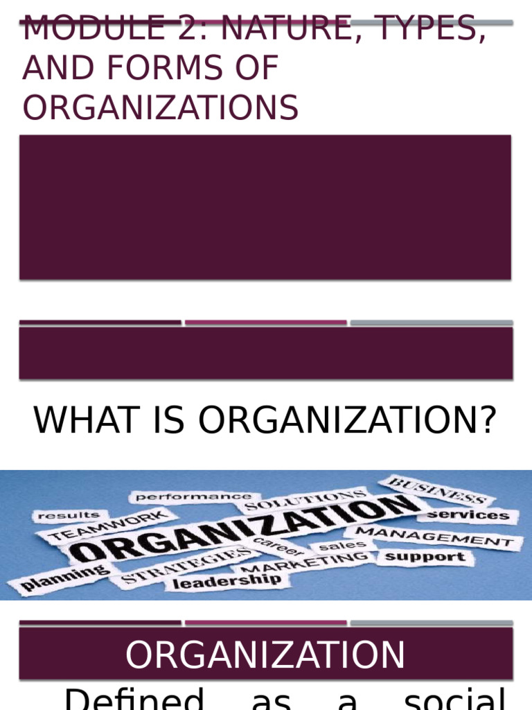 4) TYPES OF ORGANIZATION | PDF