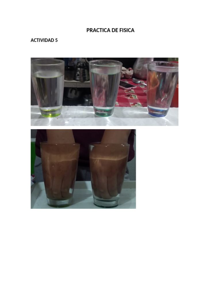 PRACTICA DE FISICA | PDF