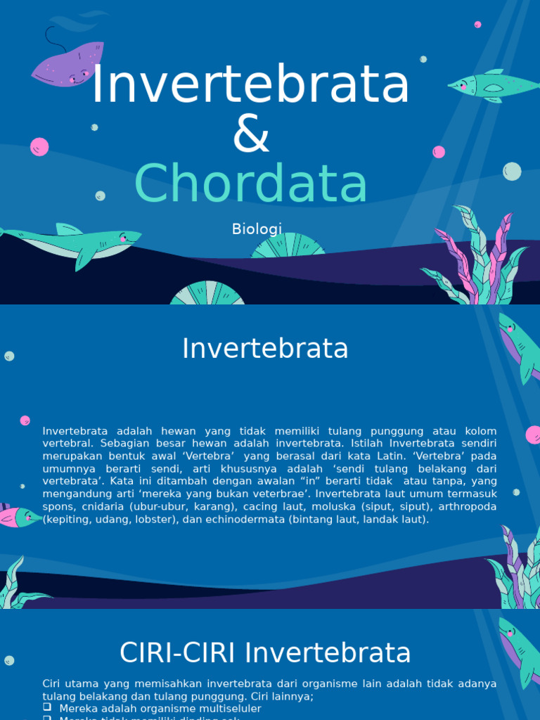 Invertebrata & Chordata FIX | PDF
