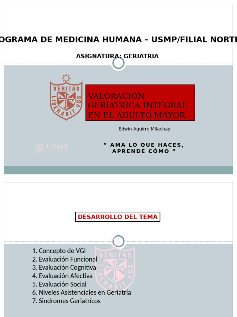 Vgi Usmp 2021 | PDF | Geriatría | Depresión (estado de ánimo)
