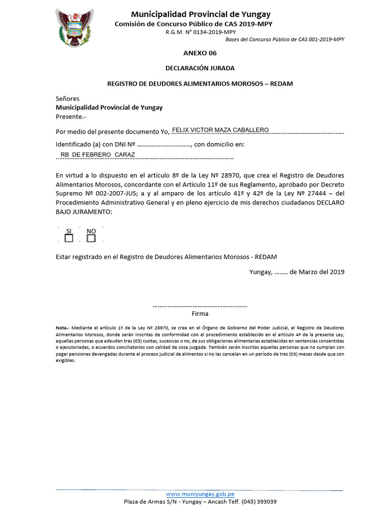 Anexo06 Form | PDF | Derecho