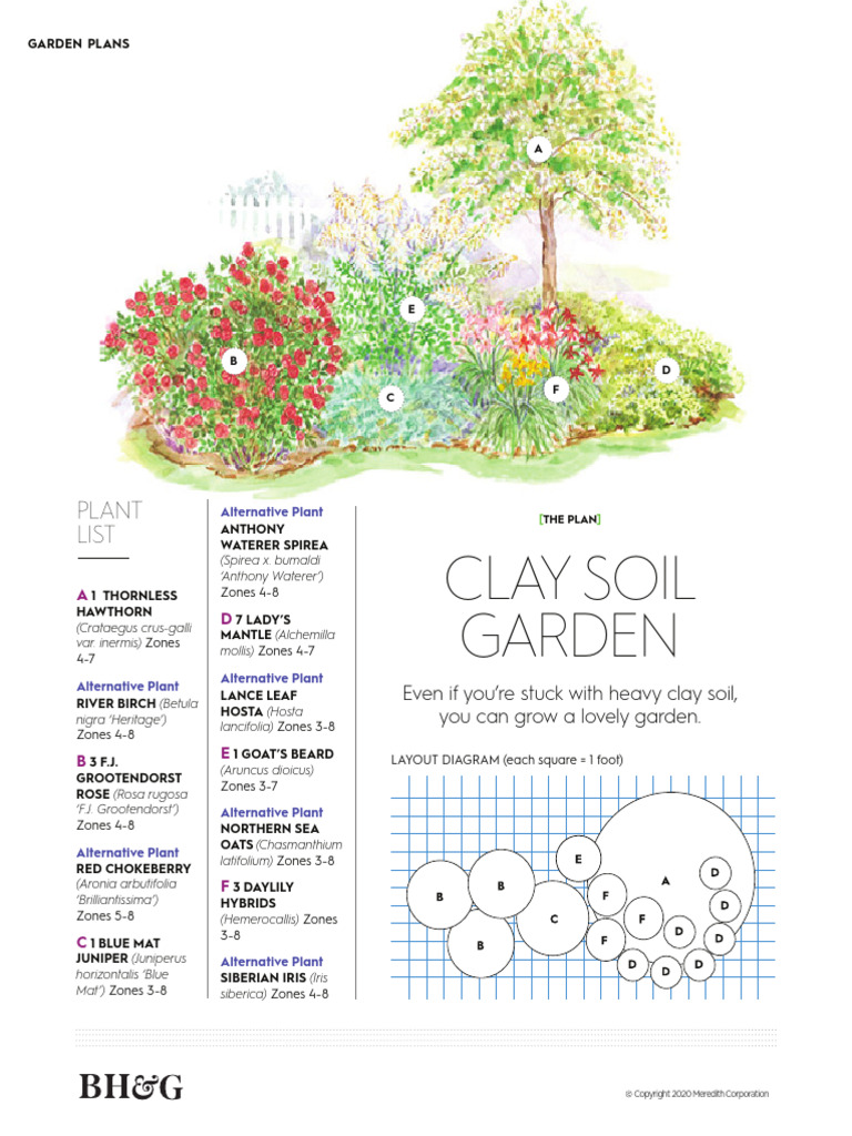 BHG Clay Soil Garden Plan | PDF | Mulch | Agriculture