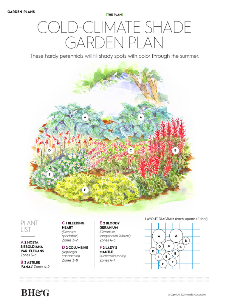 BHG Cold Climate Shade Garden Plan | PDF | Mulch | Trees BHG Cold Climate Shade Garden Plan | PDF | Mulch | Trees