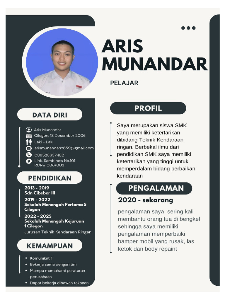 Contoh CV ARIS MUNANDAR TKR 2.. 2 | PDF