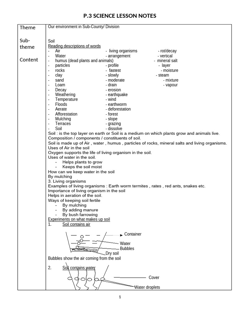 p3 Literacy I Lesson Notes 2016 Term I III | PDF | Soil | Insects
