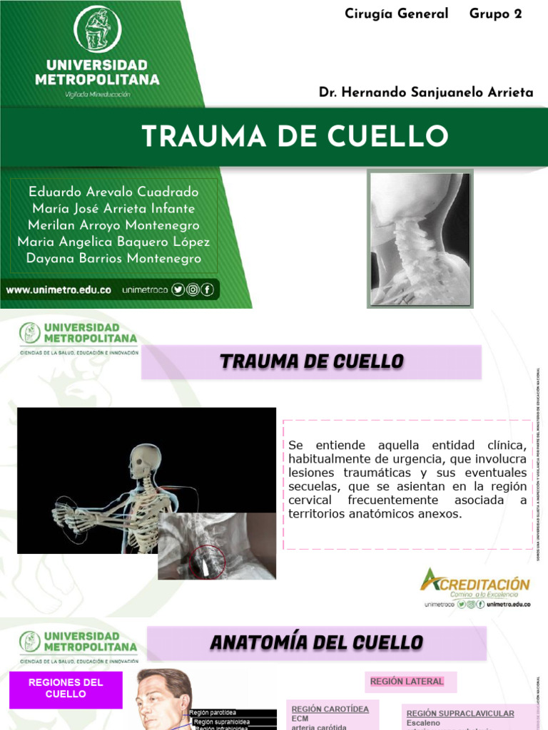 Trauma de Cuello | PDF | Arteria carótida común | Anatomía