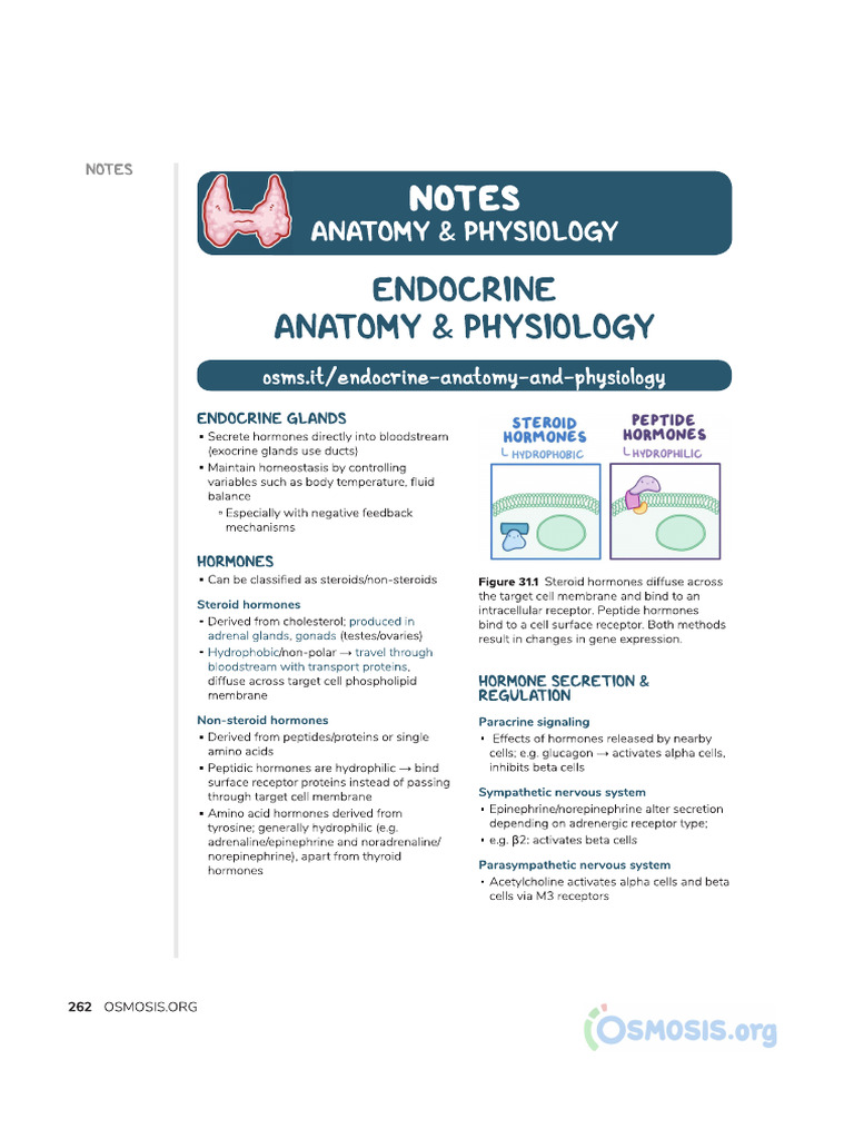 Endocrine | PDF