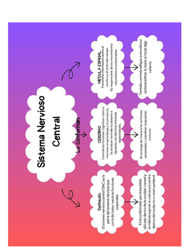 Documento (58) | PDF