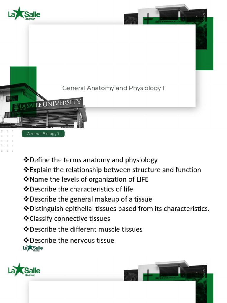 MODULE 1. Introduction To HUman Body Structure and Function | PDF | Epithelium | Human Body