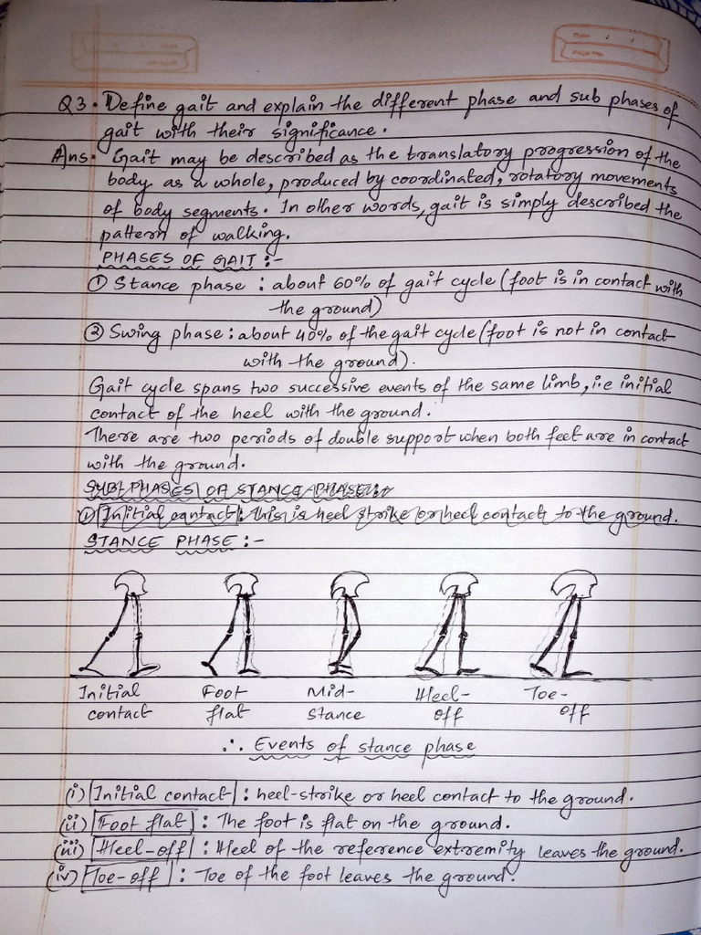 Gait cycle | PDF | Terrestrial Locomotion | Animal Locomotion