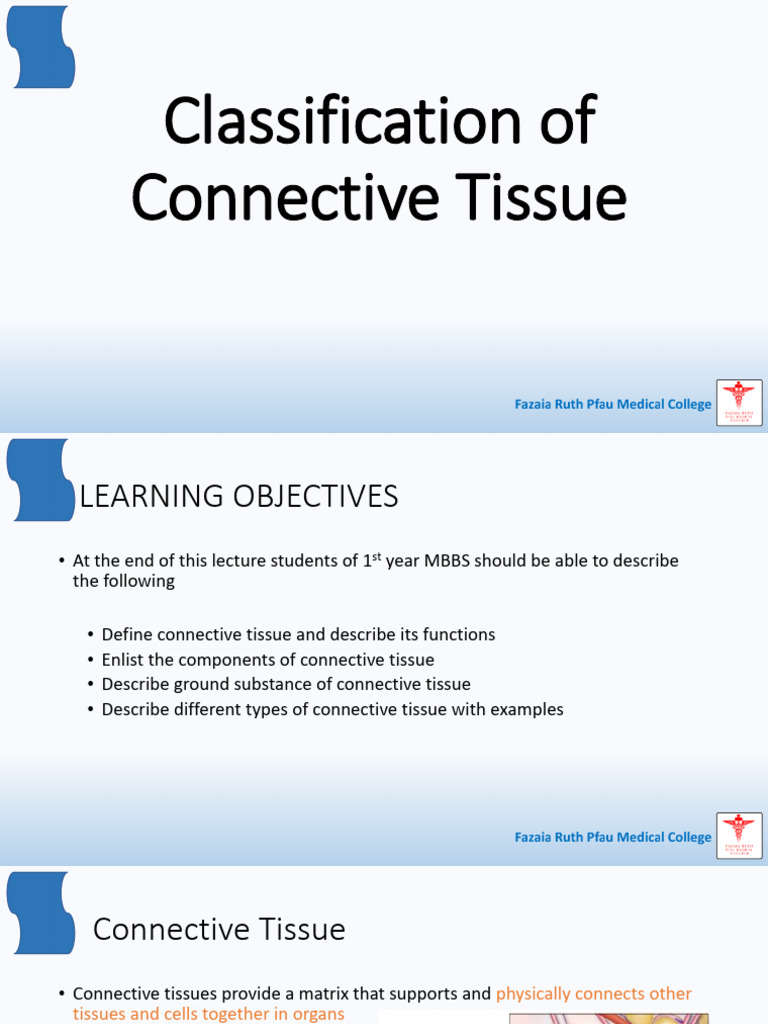 Connection Tissue | PDF | Extracellular Matrix | Connective Tissue