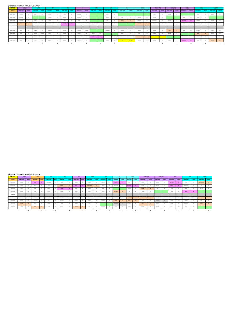 Jadwal Terapi AGUSTUS 2024 REV 3 | PDF