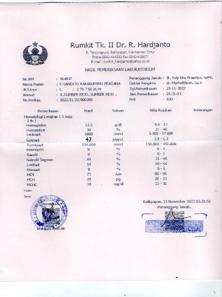 Hasil Lab DL Anak | PDF