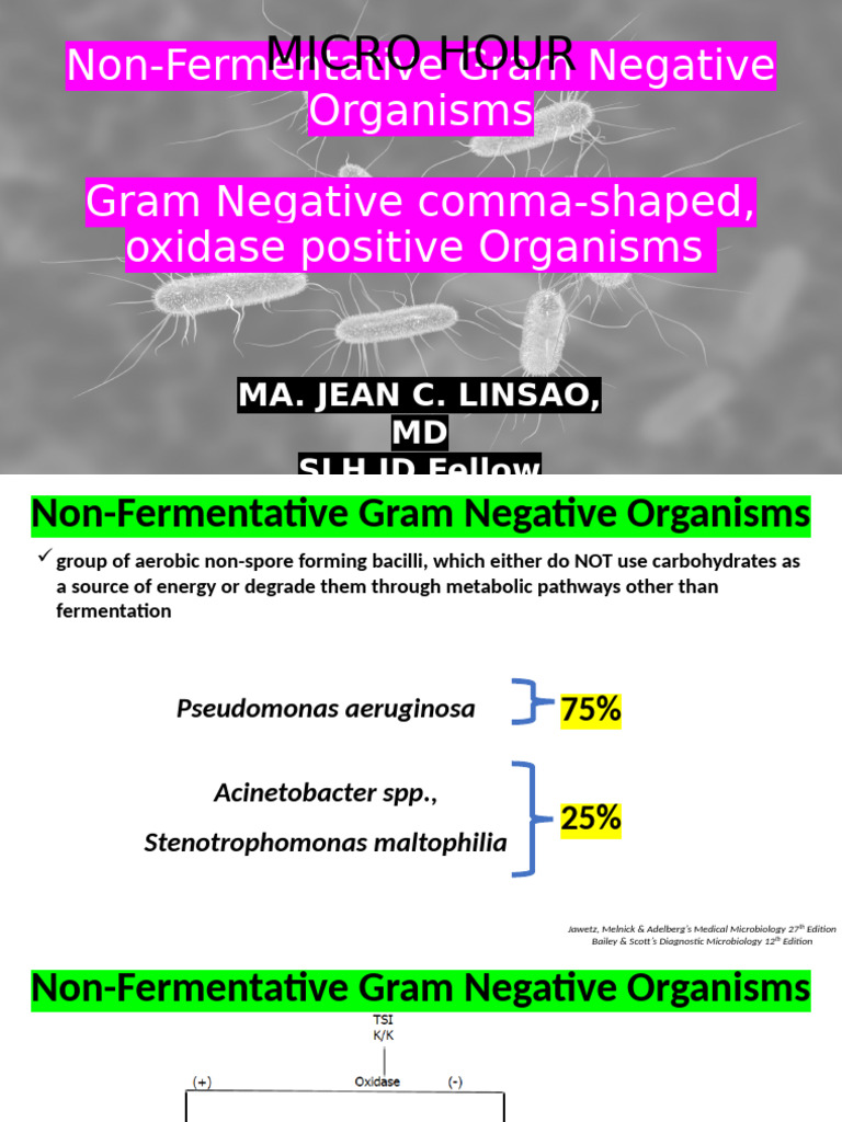 Micro HOUR - Enterobacterales | PDF | Infection | Pseudomonas Aeruginosa