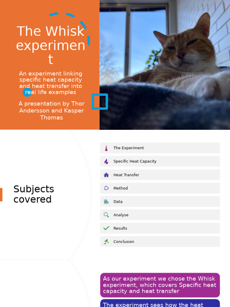 Presentation For Whisk Project | PDF | Heat | Heat Transfer