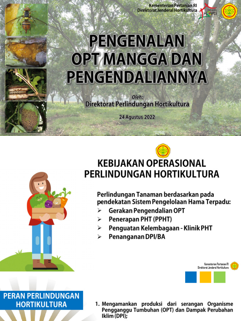 Pengenalan OPT Mangga Dan Pengendaliannya (DItlin Hortikultura) | PDF ...