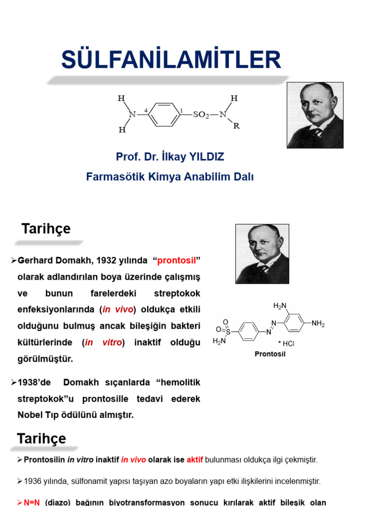 Httpsacikders - Ankara.edu - Trpluginfile.php198044mod - Resourcecontent0sulfanilamitler - PDF 2 ...