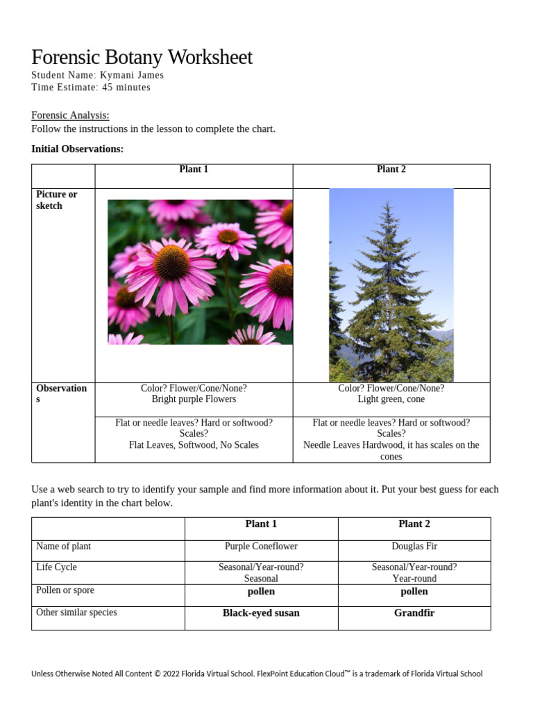 02 05 Forensic Botany Worksheet | PDF | Fir | Flowers