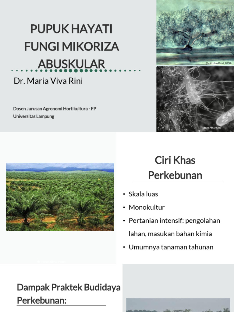 Manfaat Fungi Mikoriza Arbuskular dalam Pertanian | PDF