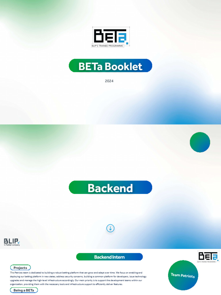 BETa2024_TeamPresentation_Booklet-0 | PDF | Computing | Software Engineering