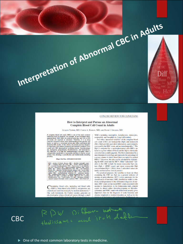 Interpretation of Abnormal CBC in Adults | PDF | Anemia | Blood