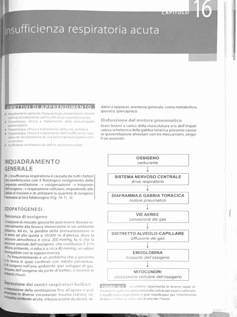 Chiaranda Capitolo 16 | PDF