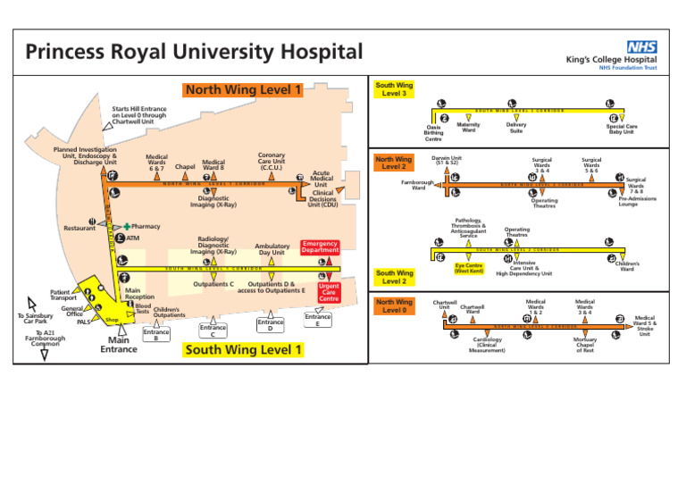 PRUH Site Guide | PDF | Hospital | Medicine