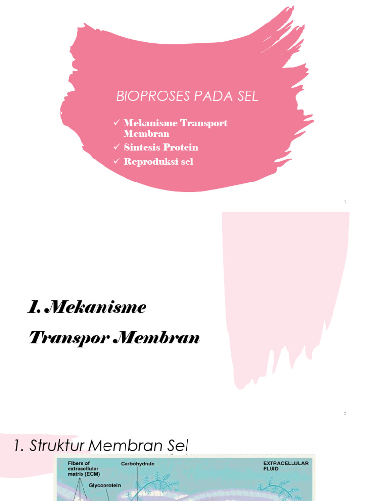 BIOPROSES PADA SEL Rev 1 | PDF