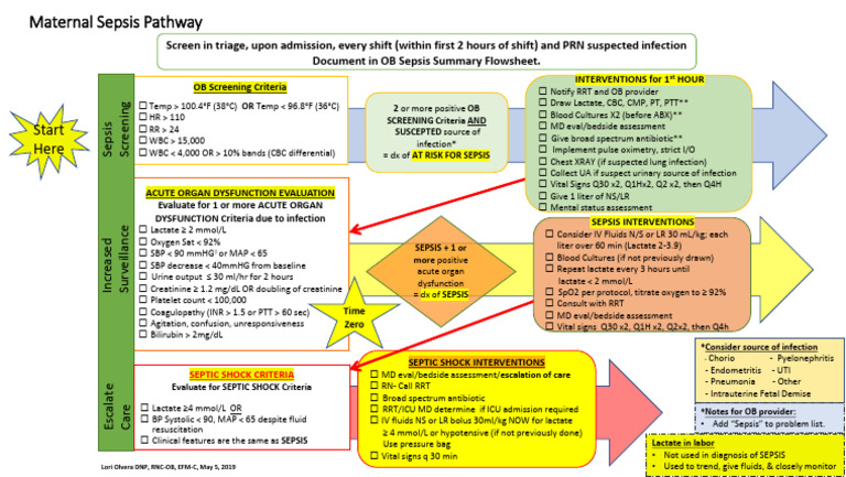 Sepsis and Septic Shock Interventions Guide | PDF | Sepsis | Health ...